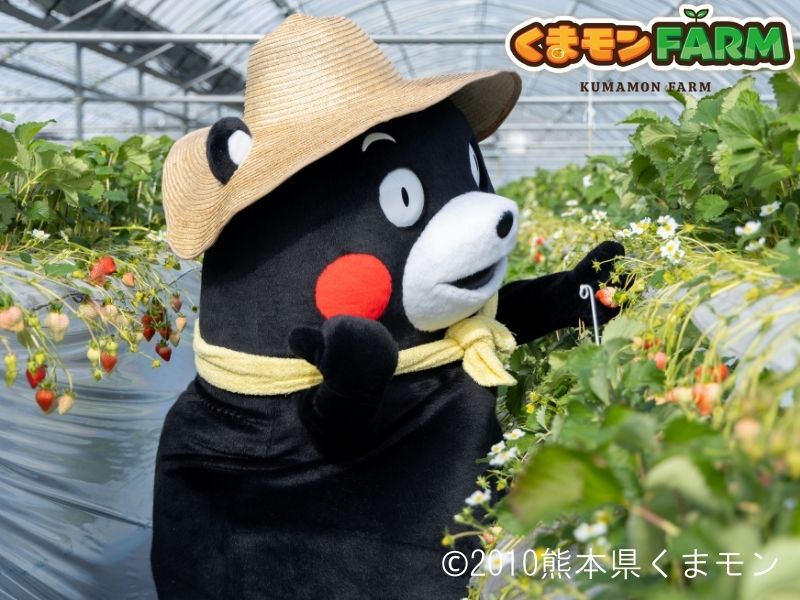 ツアー詳細 | 株式会社KASSE JAPAN(カッセジャパン)