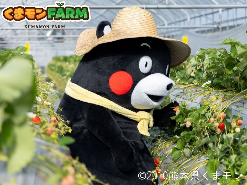 ツアー詳細 | 株式会社KASSE JAPAN(カッセジャパン)